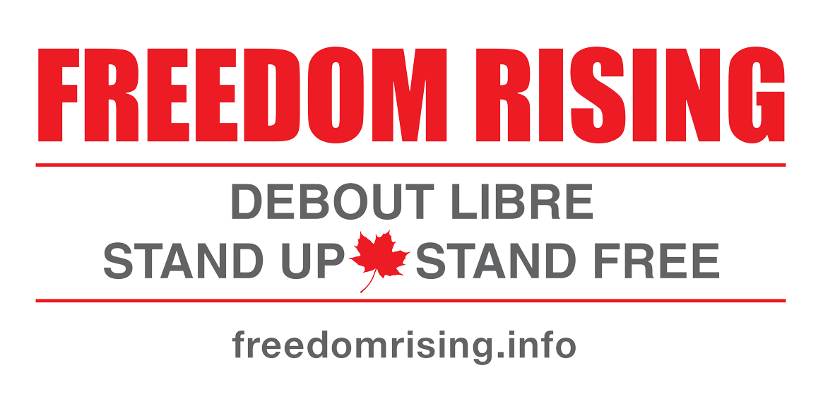 Downloadable Graphics – Freedom Rising