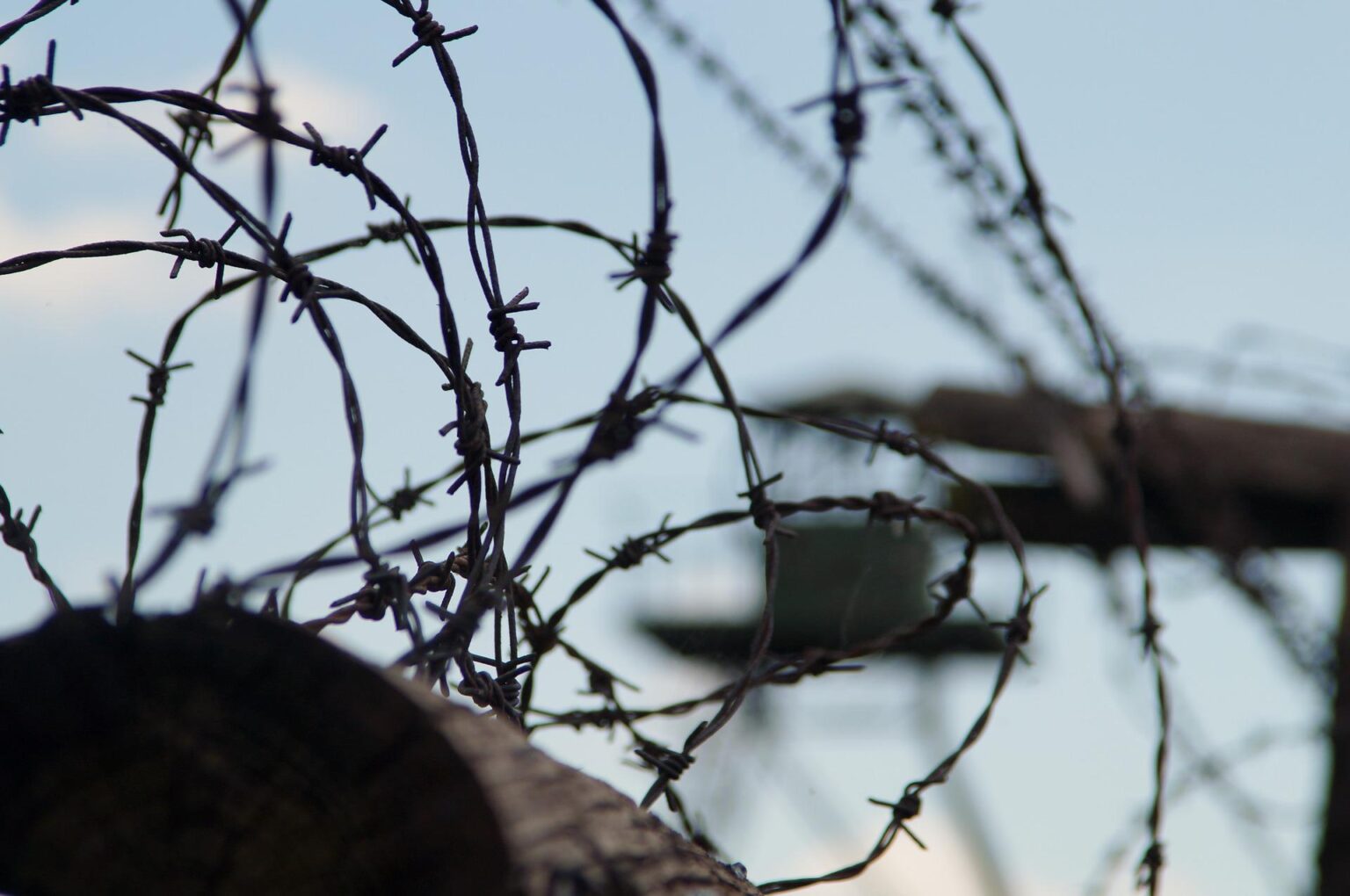 Biderman’s Chart of Coercion – Freedom Rising